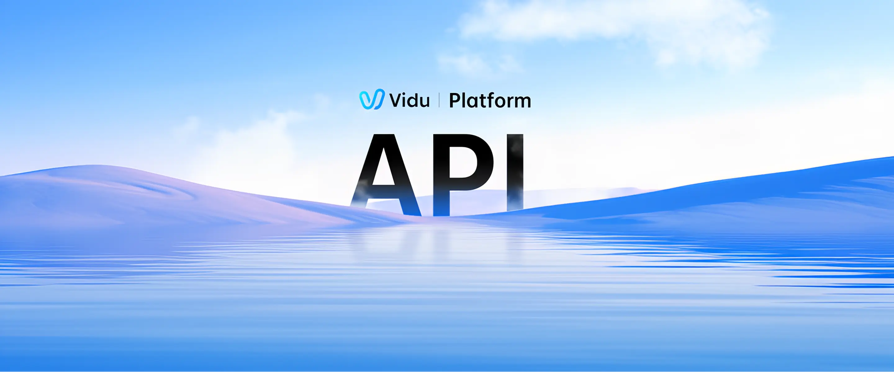 Vidu API