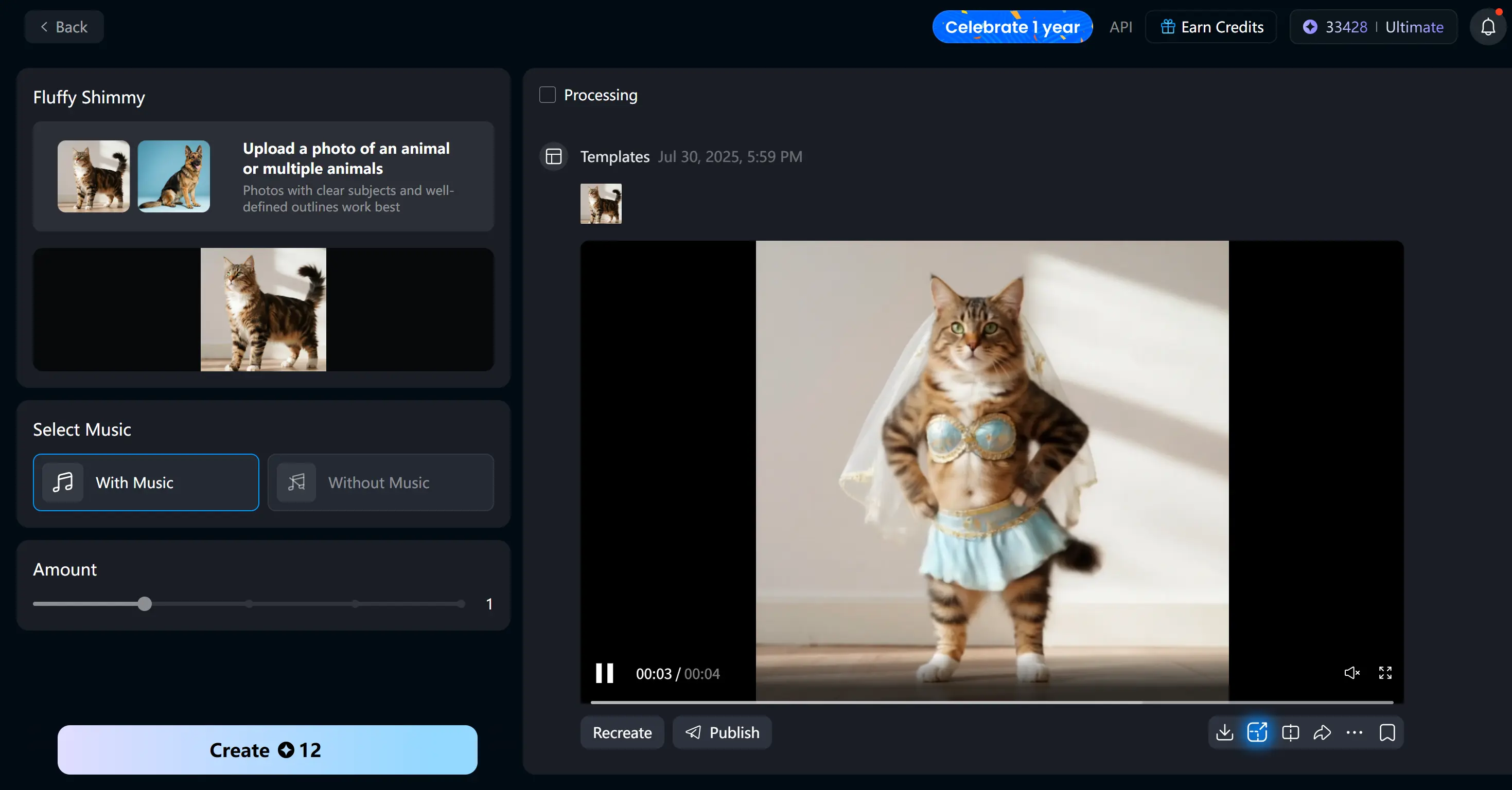 How to a Make Dancing Cat Video (Step-by-Step Guide)